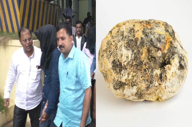 व्हेल माशाच्या उलटीची तस्करी करणाऱ्यांना मुंबईतून अटक - Marathi News ...