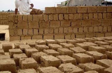 समुद्र जीव वाचवण्यासाठी कोस्टल रोड कामात इस्रायल इको फ्रेंडली विटांचा ...