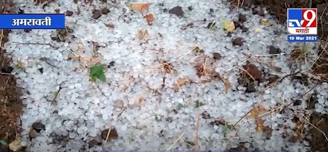 Amravati | मेळघाटात मुसळधार पावसासह तुफान गारपीट, गारा पडल्याने ...