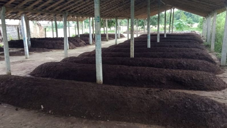 'या' ठिकाणी शेणाच्या बदल्यात गॅस सिलेंडर, काय आहे कारण? वाचा ...