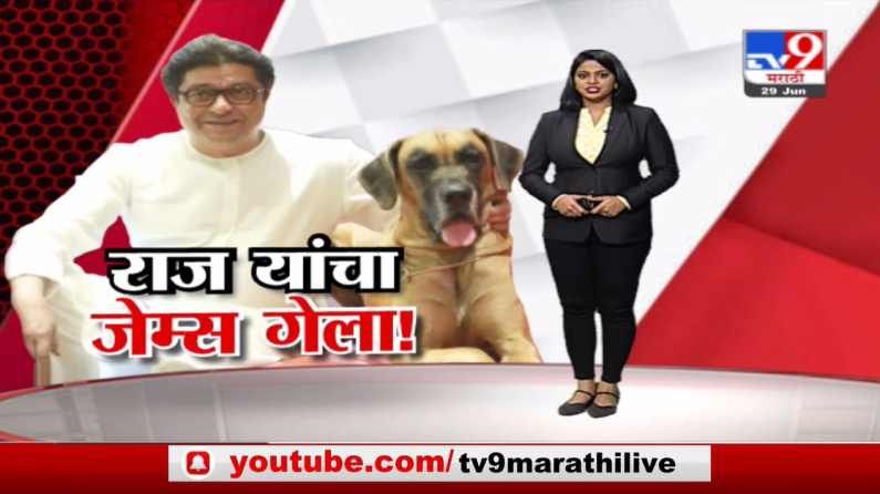 Special Report | राज यांचा जेम्स गेला! कुत्र्याला निरोपावेळी राज ठाकरे ...