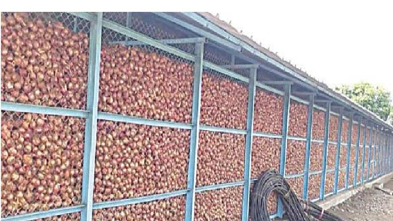 कांदा चाळ उभारणी अन् महत्व ; अनुदानाचा लाभ घ्या, कांद्याची साठवणूक करा ...