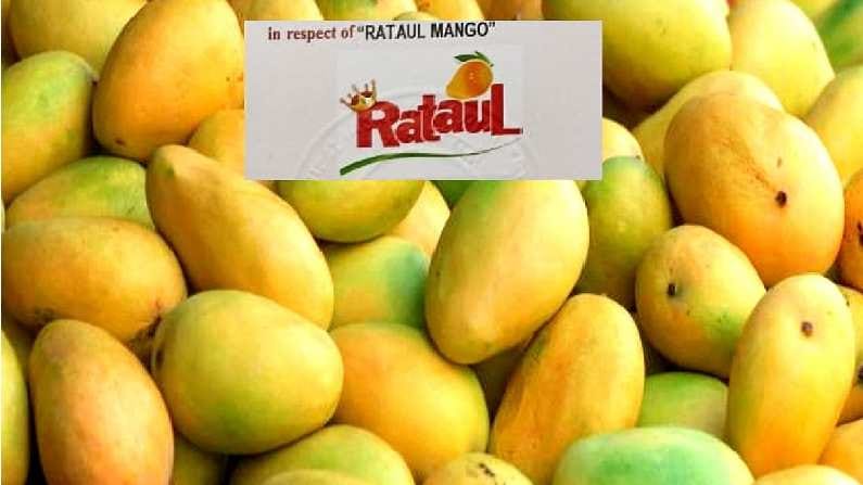 पाकिस्तानला दे धक्का ! भारतीय रताैल आंब्यालाच 'जीआय टॅग' प्रदान ...