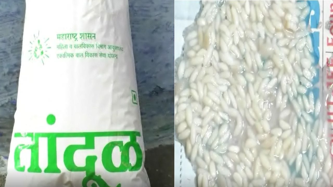 भंडाऱ्यात पोषण आहारात प्लॅस्टिकचे तांदूळ आढळले, अधिकारी म्हणतात हे तर ...