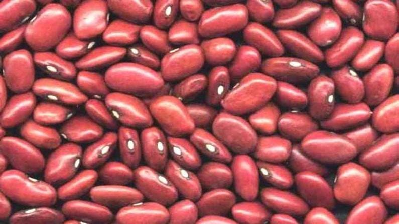 उत्तर भारतामधील राजमा वाढतोय महाराष्ट्रातील रब्बीच्या हंगामात - Marathi ...