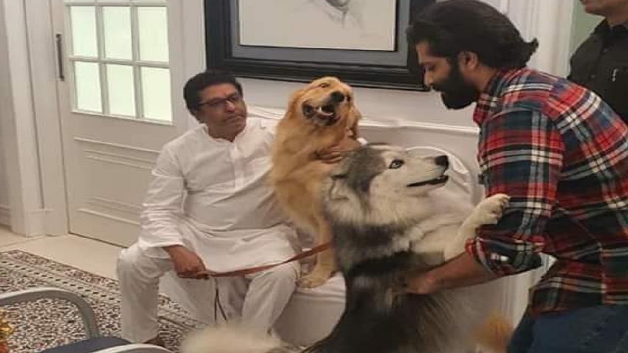 राज ठाकरेंचं श्वान प्रेम पुन्हा चर्चेत, नव्या घरातील लाडक्या ...