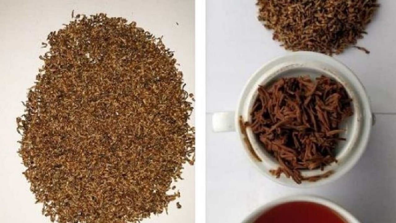 Manohari tea : एक लाख रुपयांना विकला जातोय आसाममधला 'हा' चहा, दरवर्षी ...