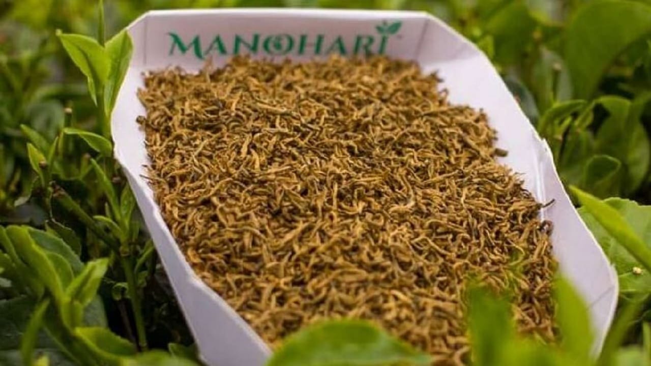 Manohari tea : एक लाख रुपयांना विकला जातोय आसाममधला 'हा' चहा, दरवर्षी ...