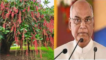 Ram Nath Kovind | राष्ट्रपती रामनाथ कोविंद यांना मुंबईतील झाडांची भूरळ ...