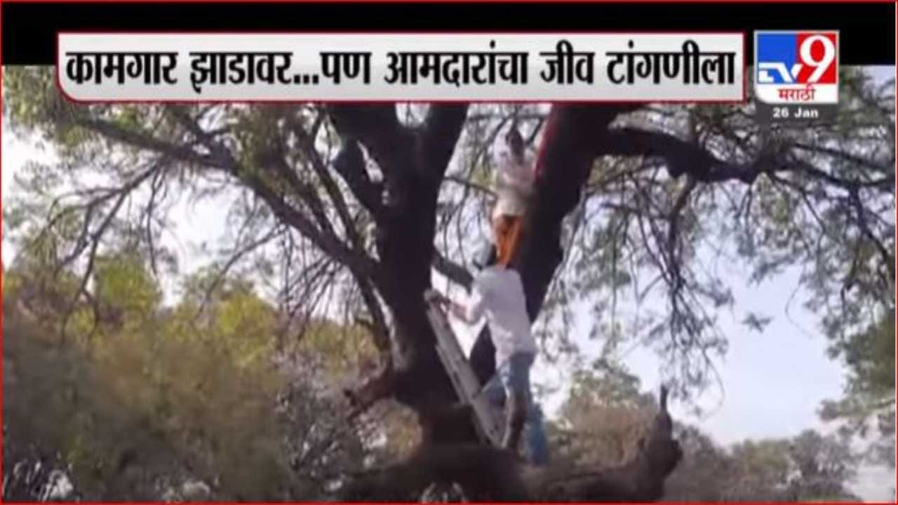 Special Report | बीडमध्ये खुद्द आमदार संदीप क्षीरसागर यांना झाडावर का ...