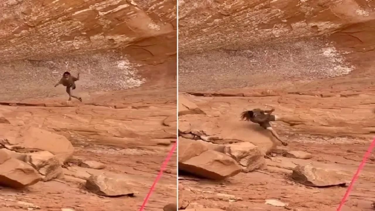 ...अन् धाडकन् दगडावर जाऊन आदळला; Stunt करा पण जरा जपून, Video viral ...