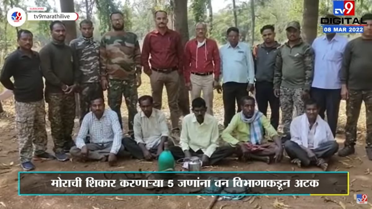 सूरतोली वनक्षेत्रात मोराची शिकार करणाऱ्या 5 आरोपींना Gondia वन ...