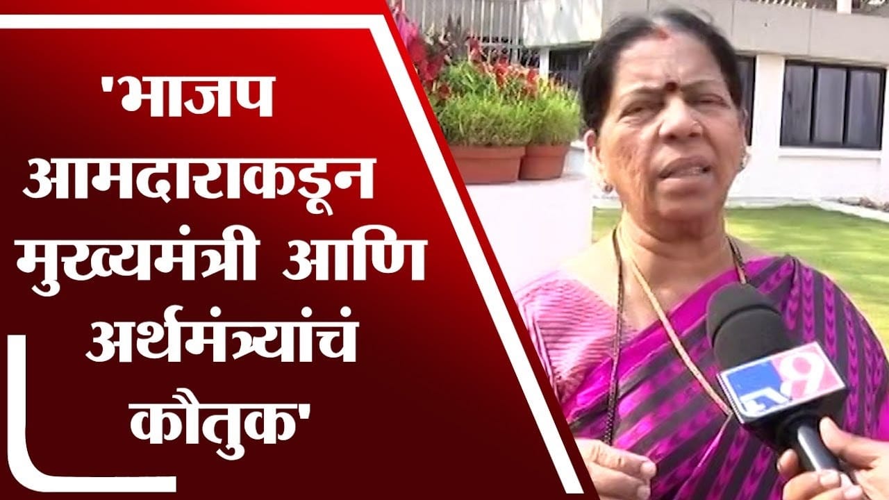भाजपच्या आमदारांकडून अर्थसंकल्पाचे स्वागत - Marathi News | Opposition ...