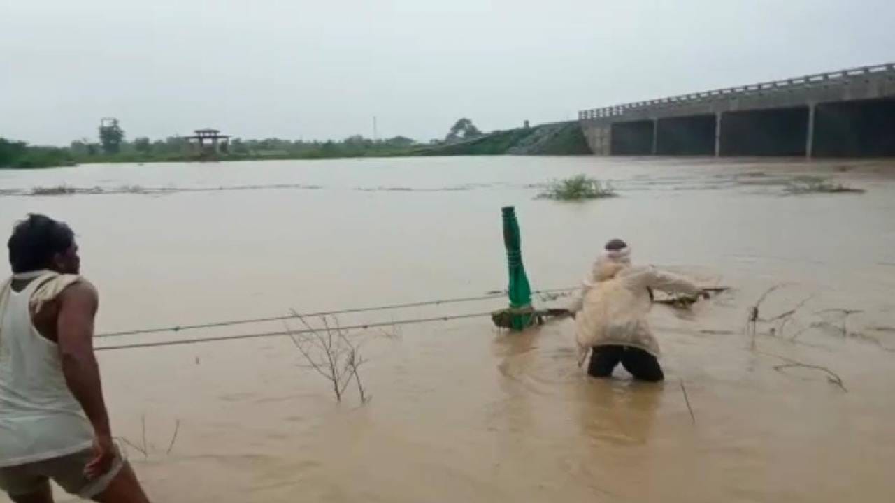 Wardha Flood : वर्ध्यातील यशोदा नदीच्या पुरात बैलबंडी गेली वाहून ...