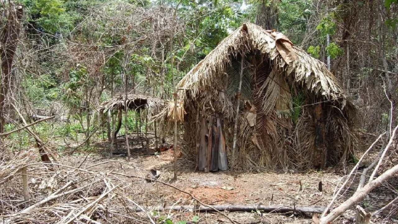 जीवन सुंदर आहे, असं म्हणतात, पण तो माणूस जंगलात 26 वर्षापासून एकटा जगला ...