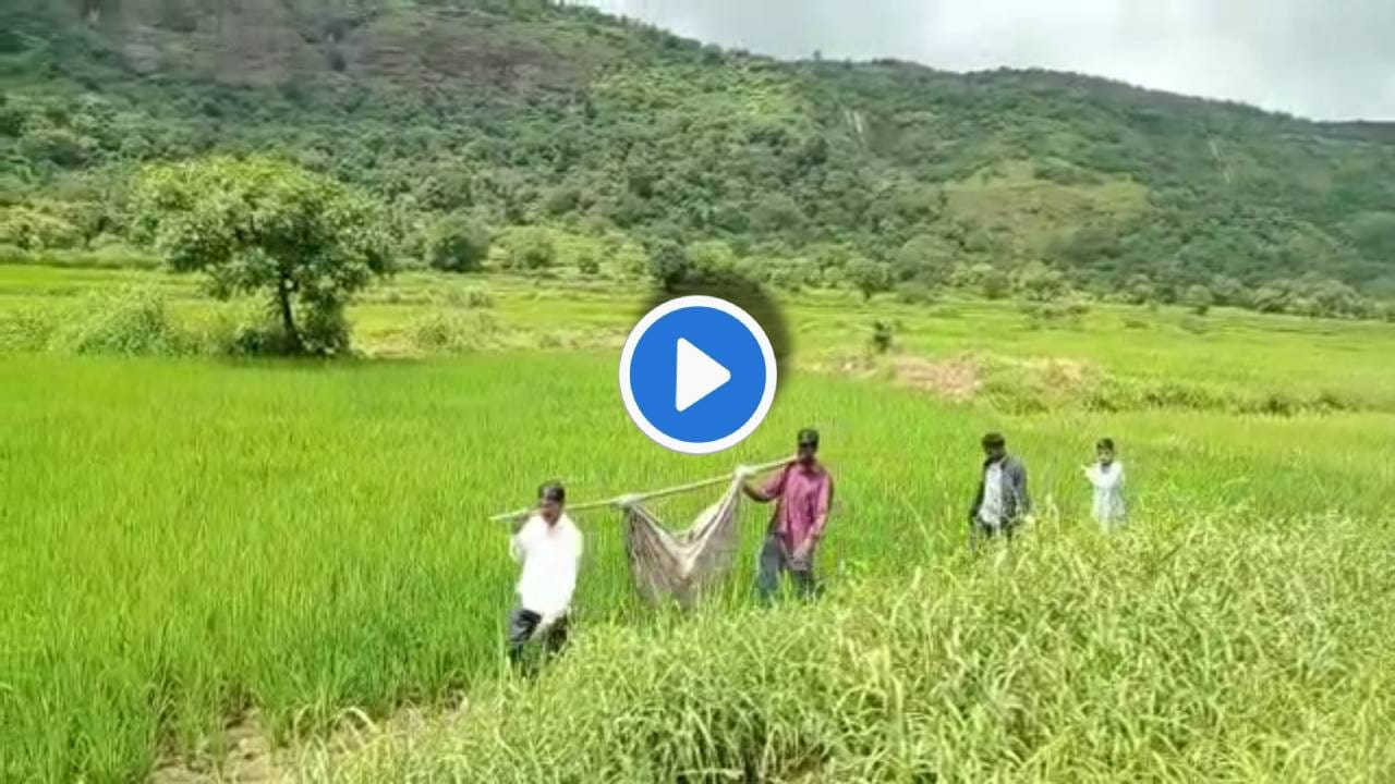 ना रस्ता, ना रुग्णवाहिका! उपचारासाठी झोळी करुन 6 किमी पायपीट - Marathi ...