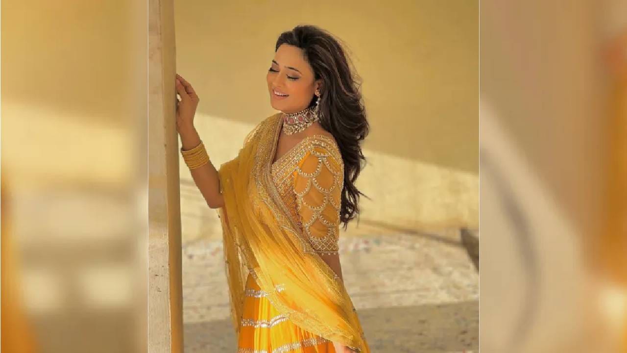 श्वेता तिवारीच्या फोटोंवर चाहते देखील मोठ्या प्रमाणात कमेंट आणि लाईक ...