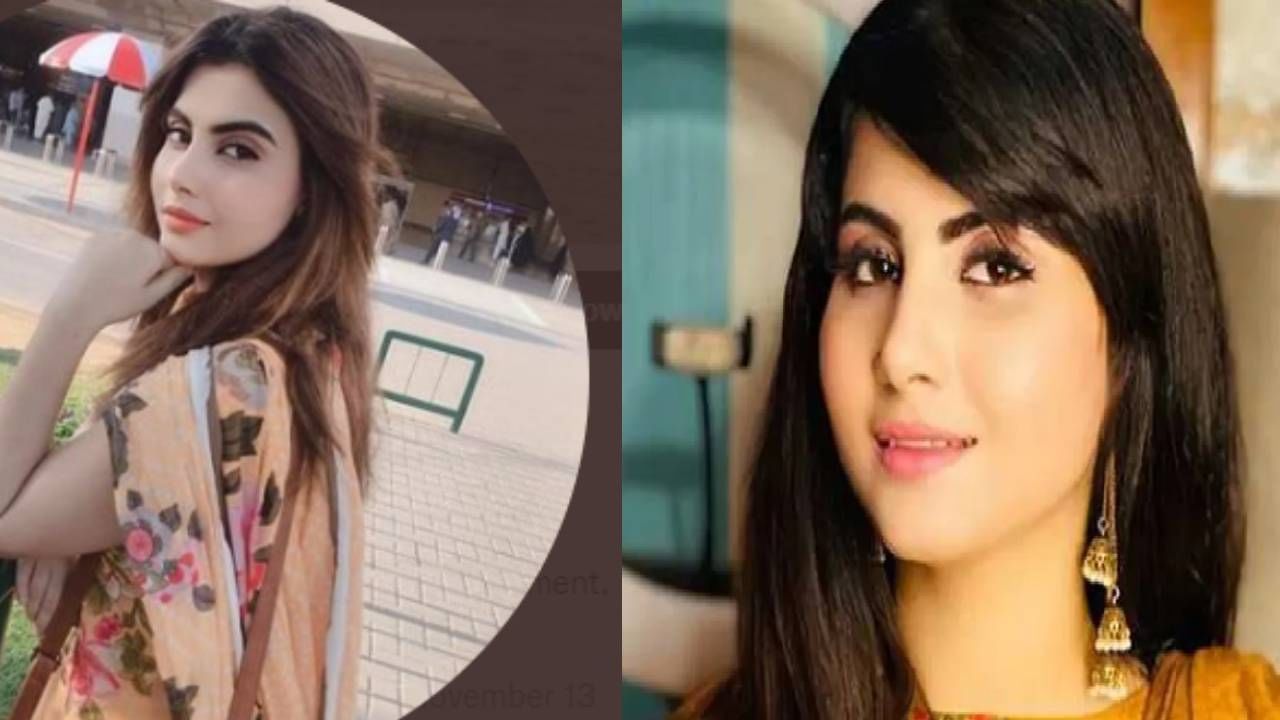 IND vs PAK: दिसणार नव्हतीस ना, मग आता...पाकिस्तानी अभिनेत्रीने मारली पलटी - Marathi News | T20 ...