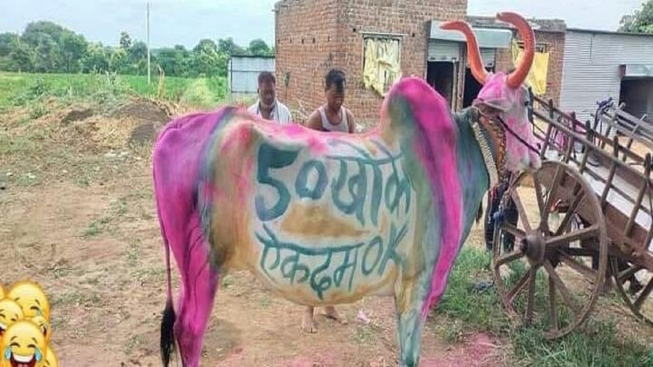 50 खोक्यांच्या घोषणेचा जन्मदाता कोण? पाहा Tv9 मराठीचा स्पेशल रिपोर्ट ...