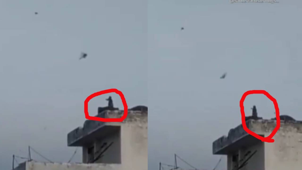 माकडाला कधी पंतग उडवताना पाहिलंय का? VIDEO - Marathi News | Monkey ...