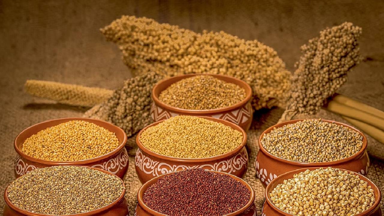 काय आहे श्री अन्न योजना? नाव कसं पडलं? अर्थसंकल्पानंतर चर्चेत ...