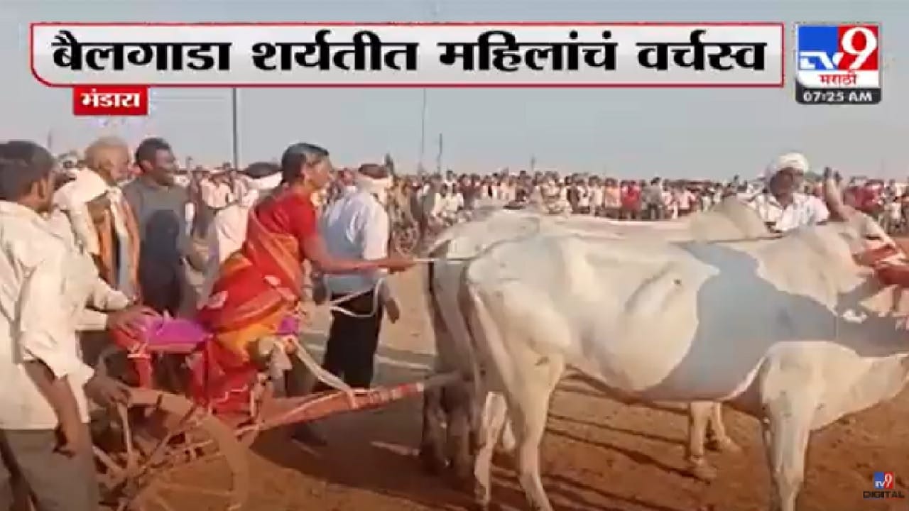पुन्हा एकदा भिर्र, महिलेच्या हाती बैलगाडीचा कासरा आणि बघ्यांची एकच ...