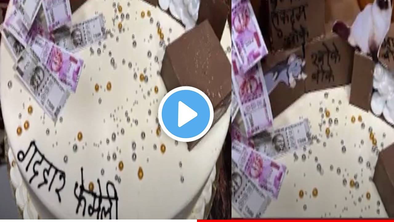 '50 खोके' चा केक, जितेंद्र आव्हाडांच्या हाती चाकू, कुणाचा वाढदिवस ...