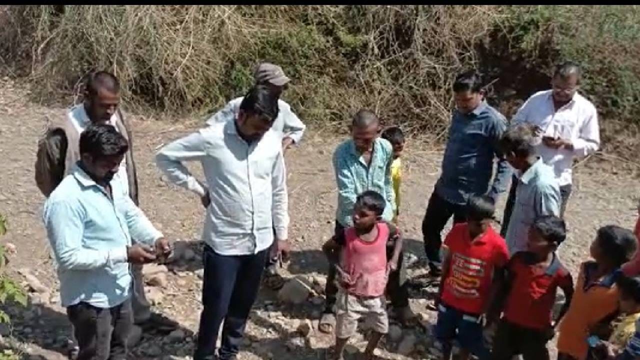 दोन बिबट्यांची झुंज, शेवटी एकाने सोडले प्राण; पाडळपुरात काय घडलं ...