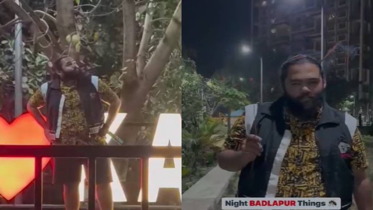 नाना पाटेकरांच्या 'मच्छर' नंतर याच डासाला तुफ्फान प्रसिद्धी ...