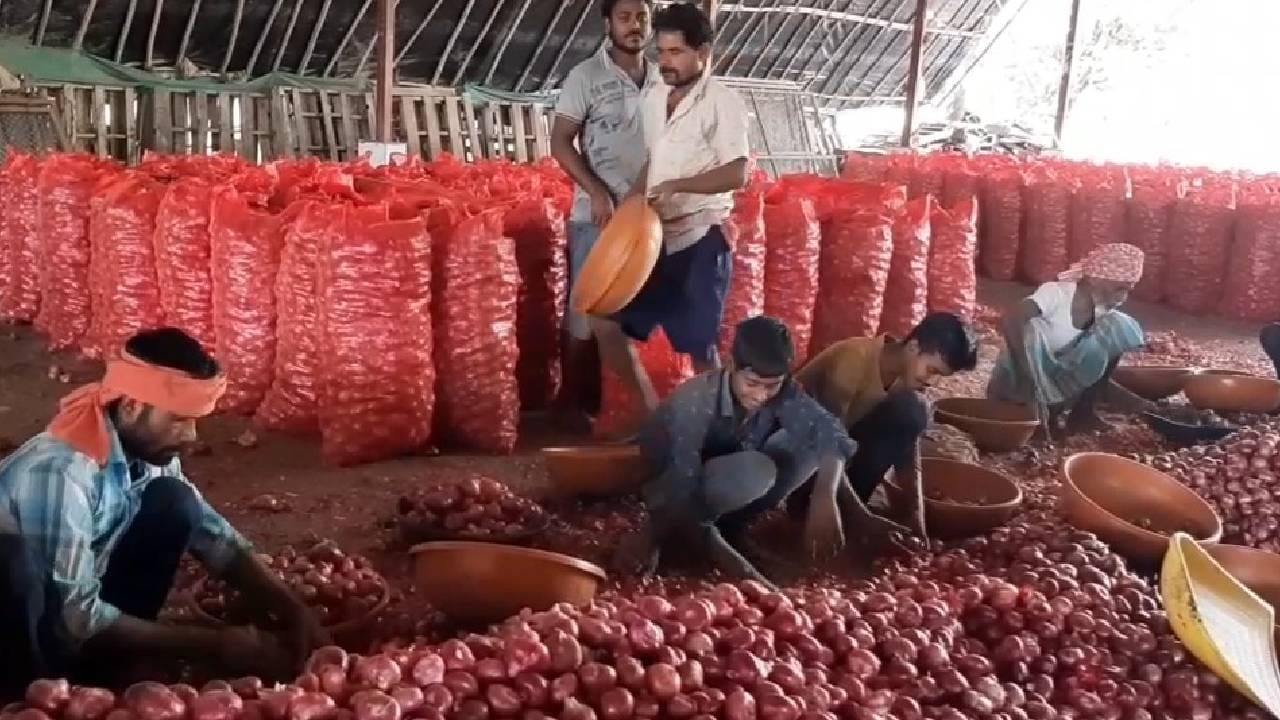 नाफेडच्या सबएजन्सीकडून कांदा खरेदी; या कारणामुळे कांदा उत्पादक त्रस्त - Marathi News ...