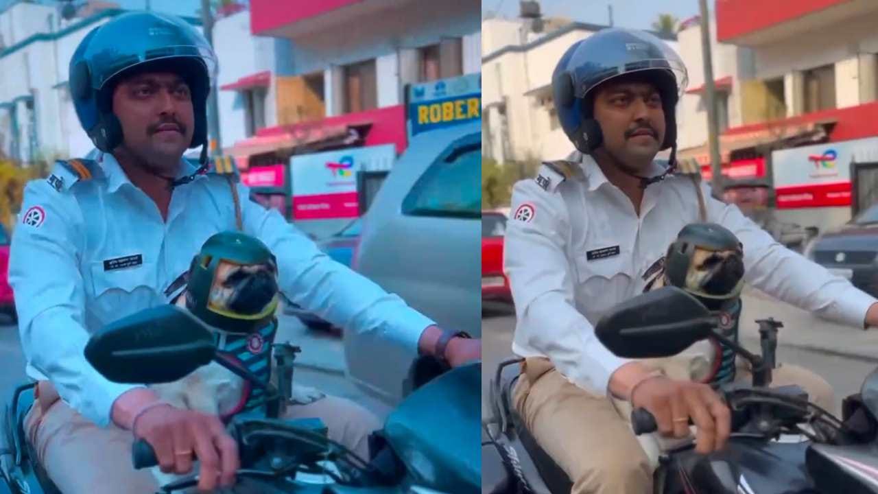 अरे वा, पुणेकर वाहतूक पोलीसही वेगळाच, हेल्मेट जनजागृतीसाठी श्वानाचा असा ...