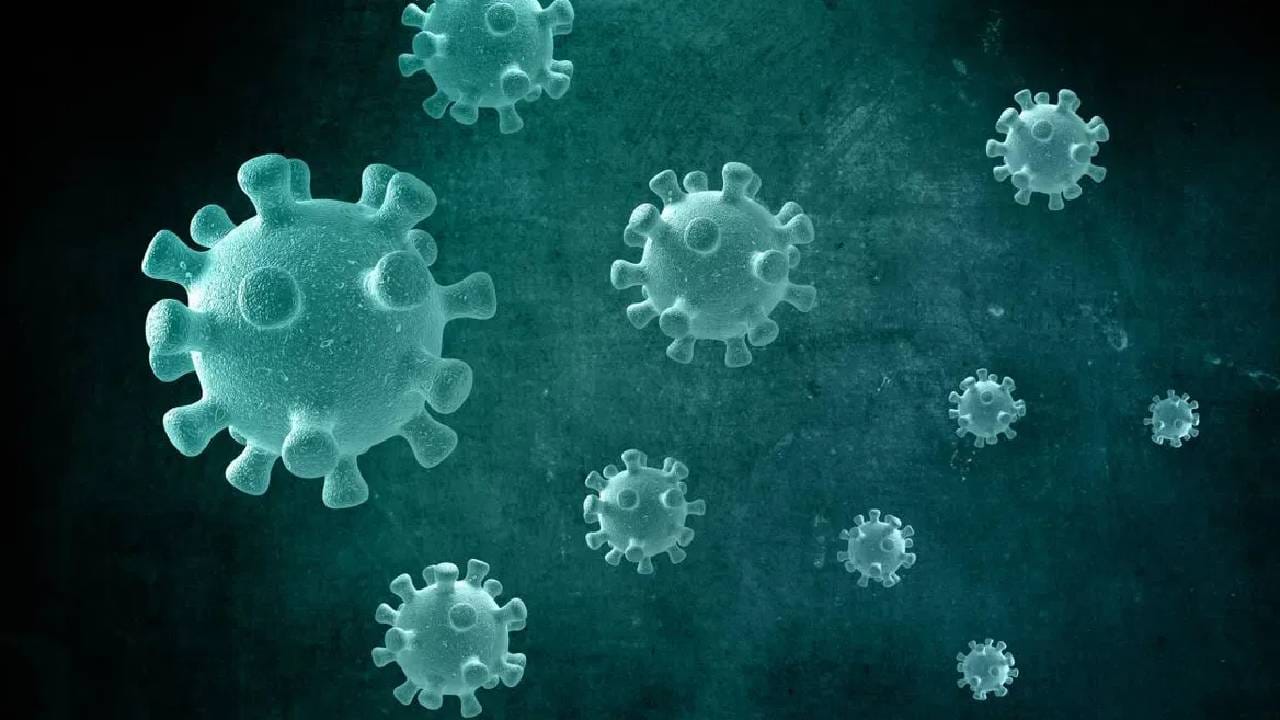 Covid 19 : वाढता वाढता वाढे... ! या 5 राज्यांत हात-पाय पसरतोय कोरोना ...