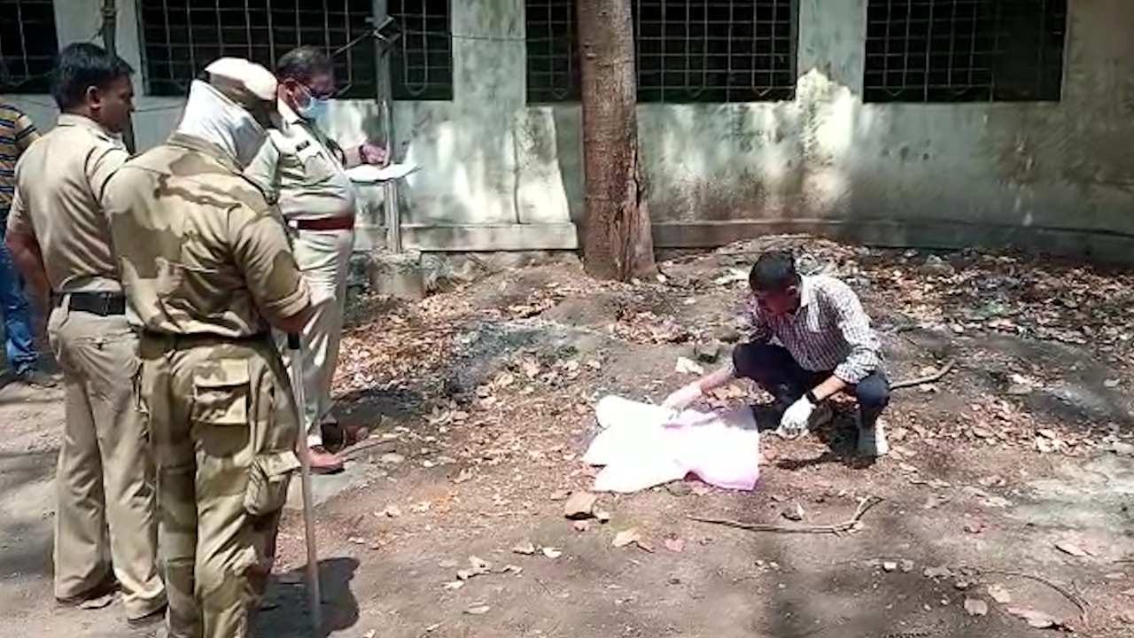 हृदय पिळवटून टाकणारी बातमी; कोल्हापुरात दोन अर्भकांचे कुत्र्यांनी तोडले ...