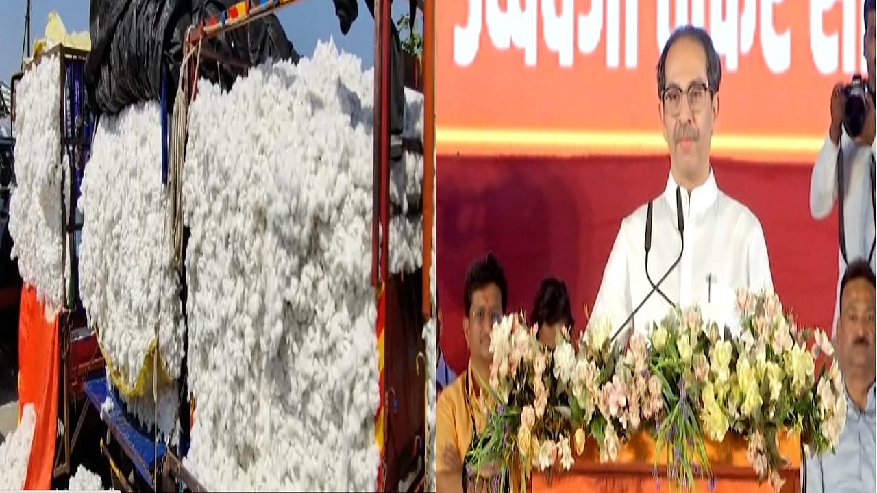 26 वर्षाच्या तरुणाने कपाशीला भाव मिळाला नाही म्हणून स्वत:ला संपवलं ...