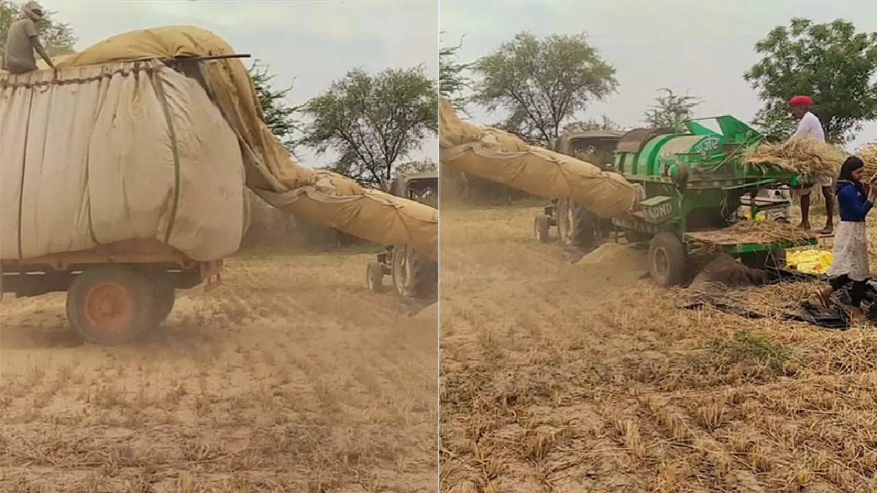 Jugaad Video : वेळ आणि काम वाचण्यासाठी शेतकऱ्याचा नवा जुगाड, गहू ...
