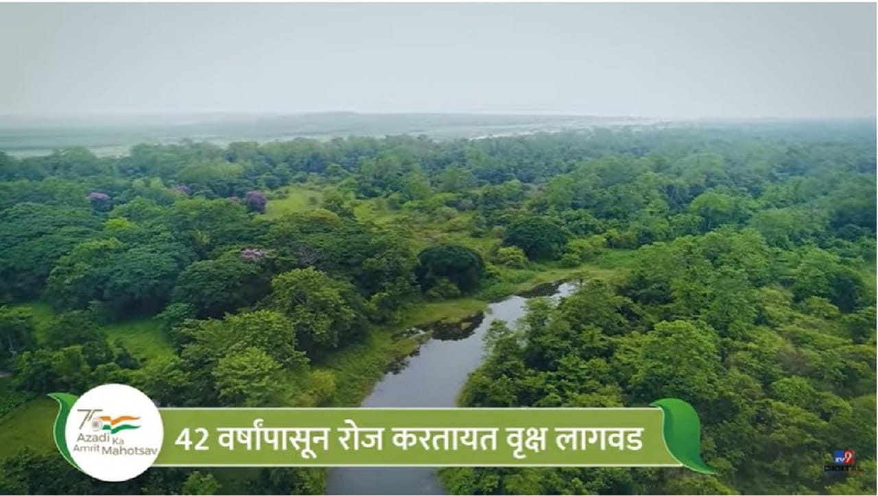 दररोज एक झाड लावून आज उभं राहिलं ५५० हेक्टर जागेत जंगल, कोण आहेत ...