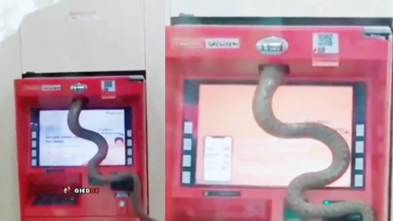 ATM घुसला साप, पैसे काढायला एकजण गेला आणि... - Marathi News | Atm ...