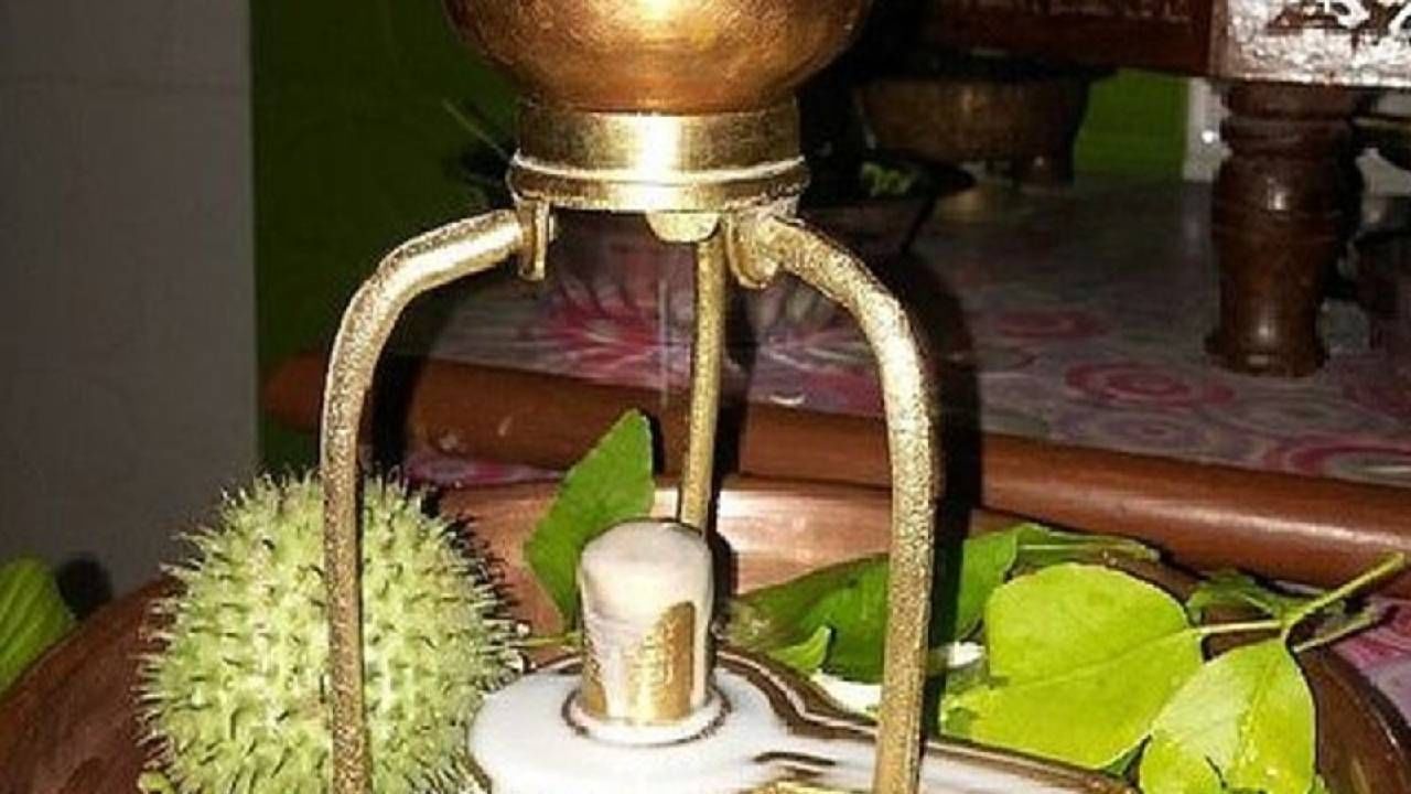 Shrawan 2023 : महादेवाला का वाहतात धोत्र्याचे फळ? अशी आहे यामागची ...