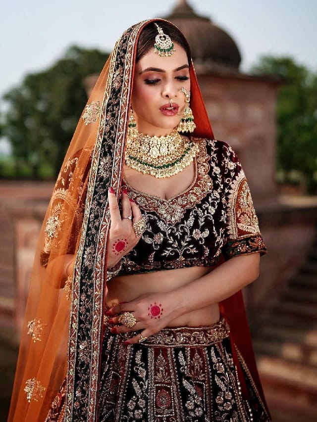 तेरा ये इश्क मेरा फितूर, नेहा मलिकचा दुल्हन लूक, म्हणाली साजन… – TV9 ...