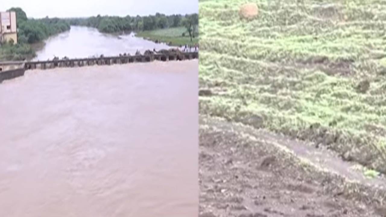 अतिवृष्टीचा फटका; शेत गेलं, माती गेली, मातीबरोबर पीक पण गेलं; शेतकरी ...