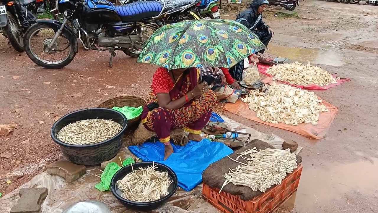 Gondia Market
