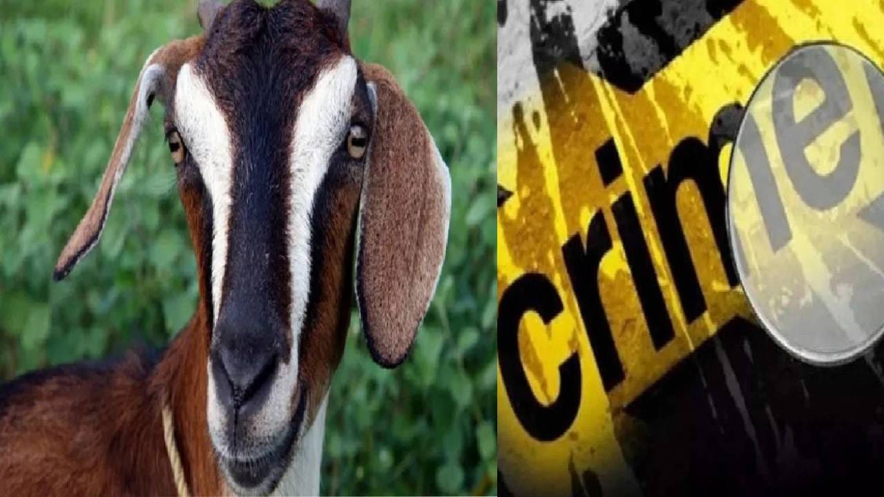 बकरीवरून सुरू झालेला वाद पेटला, त्याने शेजाऱ्याचा प्रायव्हेट पार्टच ...