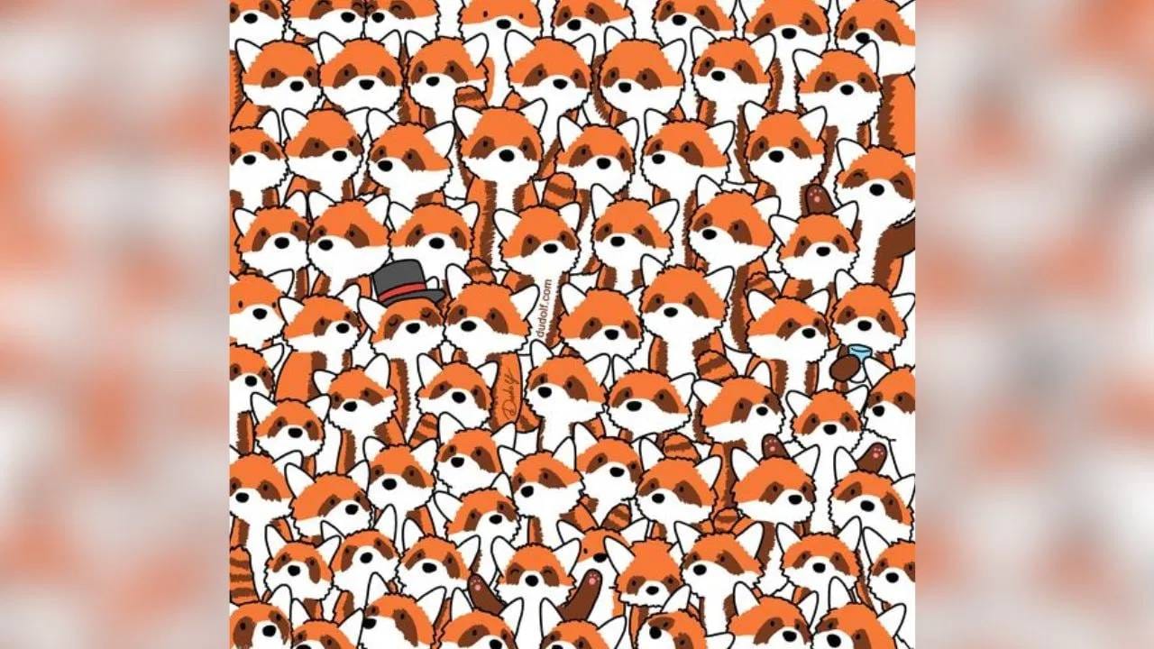 Optical Illusion | या चित्रात कोल्हे शोधून दाखवा! - Marathi News ...