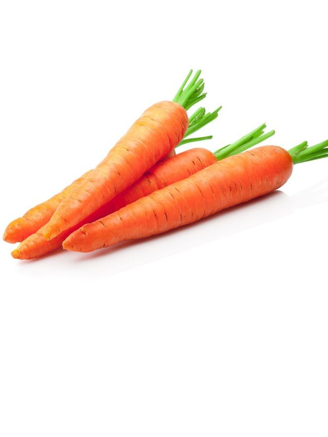 Carrot Benefits : पाण्याने समृद्ध गाजर खाण्याचे हे फायदे तुम्हाला ...