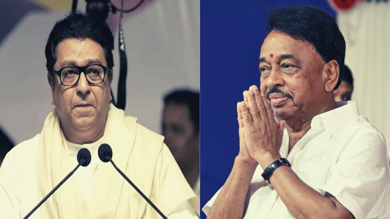 'नारायण राणेंना प्रचाराची किंवा माझ्या सभेची गरज नाही, कारण...'; राज ...