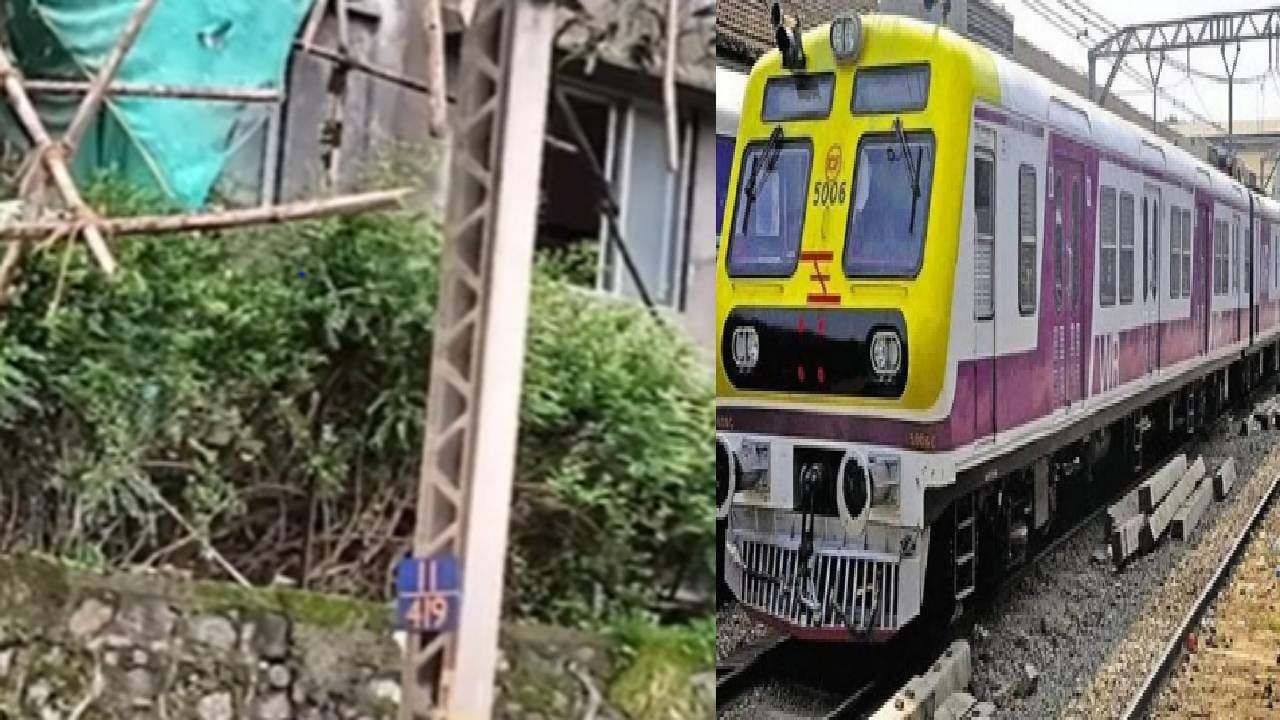 Central Railway Update : ओव्हरहेड वायर वर बांबू पडला, मध्य रेल्वेच्या ...
