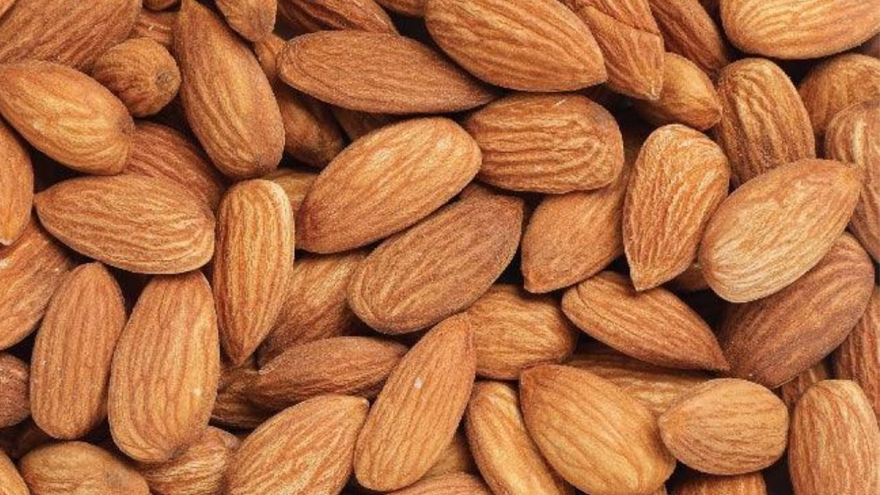 बदामापेक्षा जास्त शक्तीशाली या सहा वस्तू, स्वस्त अन् आरोग्यासाठी मस्त ...