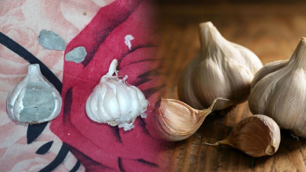 तुम्ही नक्की कोणता लसूण खाताय? असली की नकली? सिमेंटच्या लसणाचा VIDEO ...