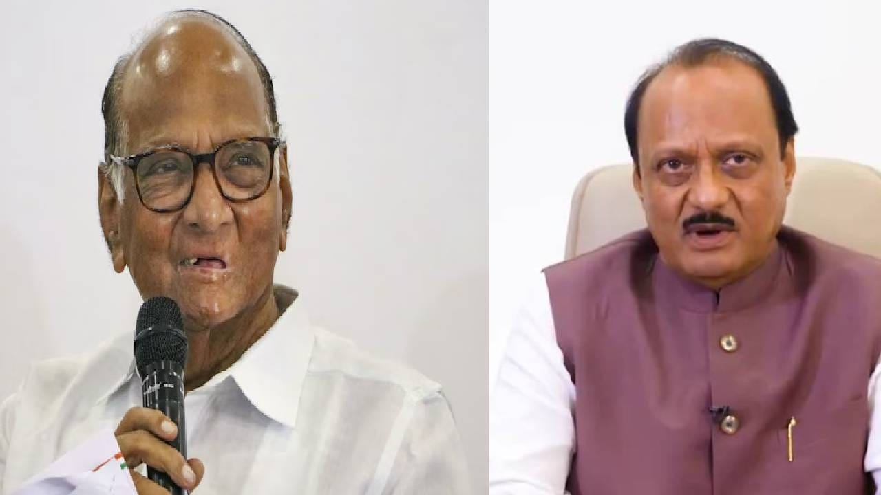 तुमचाही निळा शर्ट, तुमच्याकडे महिला आकर्षित होतील काय?; गुलाबी ...