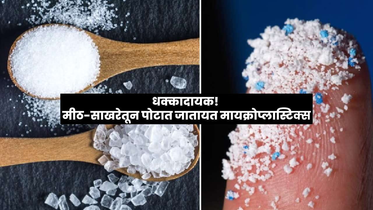 देशातील सर्व ब्रँड्सच्या मीठ-साखरेत मायक्रोप्लास्टिक्स; रिसर्चमध्ये ...